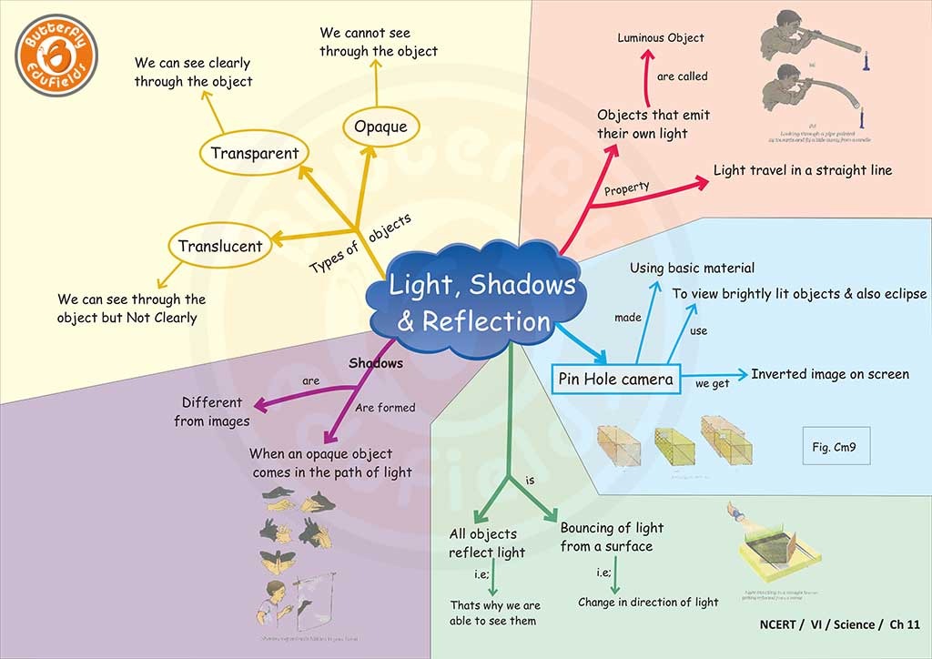 Bulb and Light Source | ASHRAYA